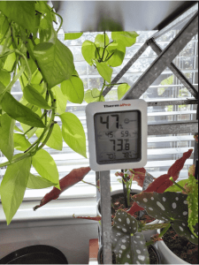 How to Control Temperature and Humidity in Grow Tent? - Own Gardening