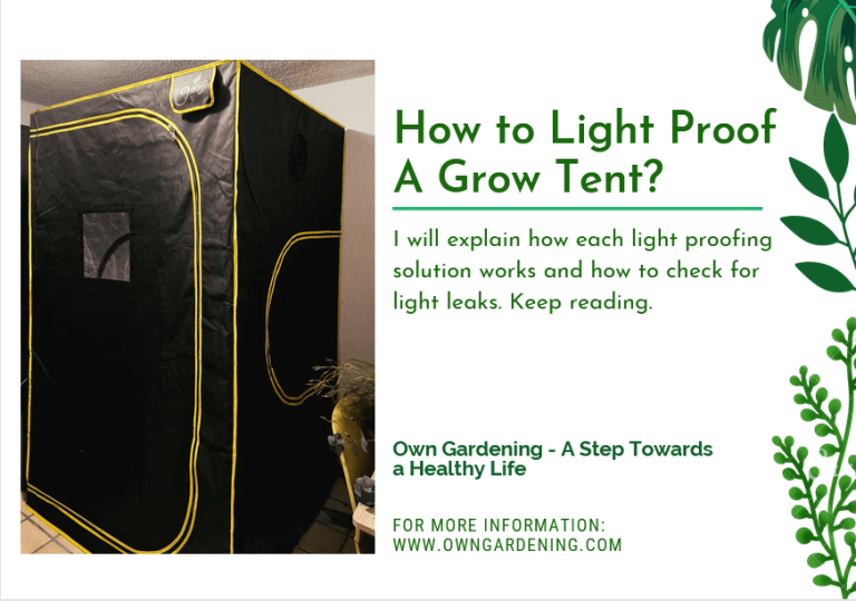 How to Light Proof A Grow Tent? - Own Gardening